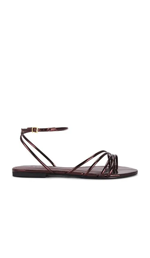 Schutz Inez Flat Sandal - Dark Brown
