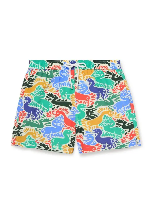 DRAKE'S Ducks Straight-leg Mid-length Printed Shell Swim Shorts