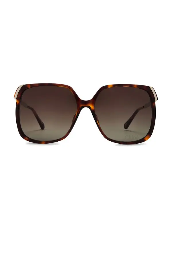 Chloé Aly Sunglasses - Havana  Gold  & Brown