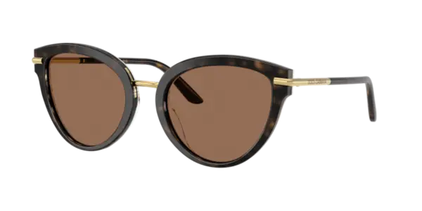 Dolce & Gabbana Butterfly Sunglasses - Havana On White Barrow