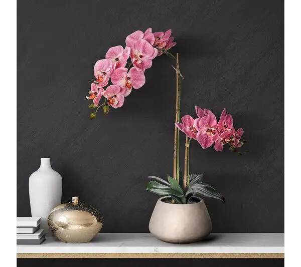 VALERIE PARR HILL 24 Natural Touch Orchid In Pot Valerie