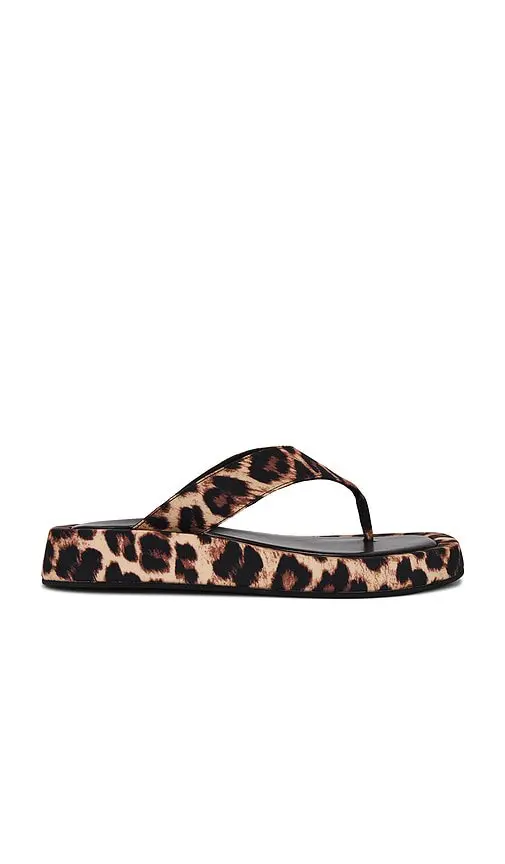 TONY BIANCO Ives Sandal - Leopard