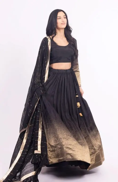 RAAS Jaya Jacquard Ombre Lehenga Choli Set