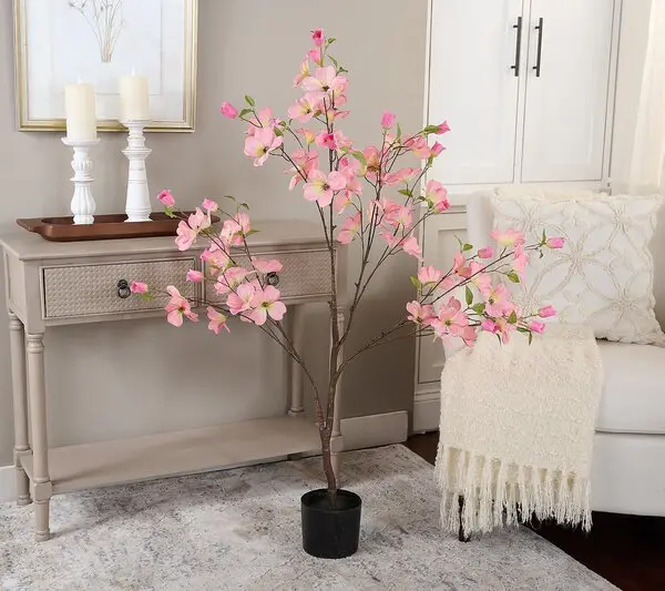 VALERIE PARR HILL 4' Dogwood Tree In Pot Valerie