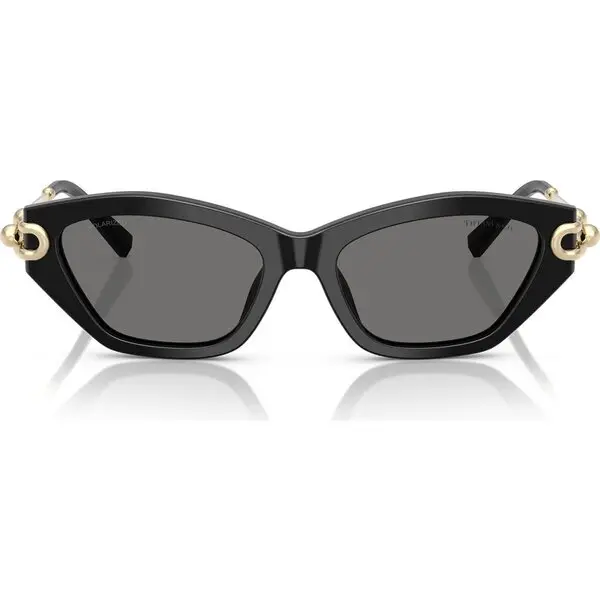 Tiffany & Co. 53mm Polarized Cat Eye Sunglasses