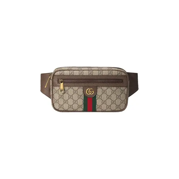 Gucci Ophidia Belt Bag