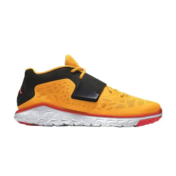JORDAN Flight Flex Trainer 2 Sneakers