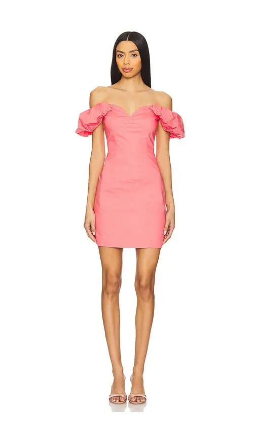 Steve Madden Bordeaux Dress