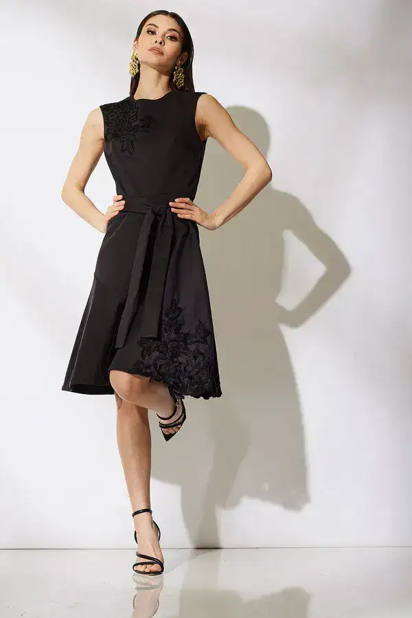 fit and flare embroidered dress Red Dress | Ivory Lace Sleeveless Mini Dress main image 1