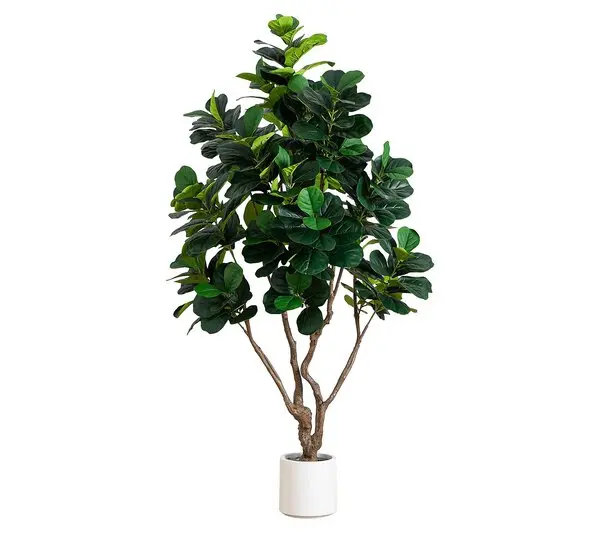 NEARLY NATURAL 8' Grand Fiddle Leaf Tree In Whi Te Planter