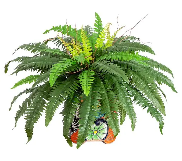 NEARLY NATURAL 21 Artificial Boston Fern In Planter