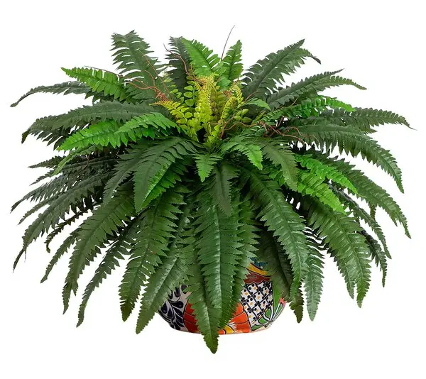 NEARLY NATURAL 32' Double Boston Fern In Talave Ra Planter