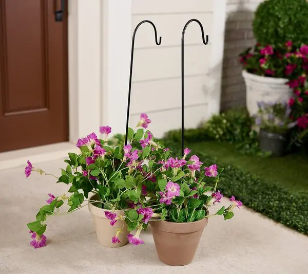 GARDEN REFLECTIONS Set Of 2 33'h Metal Sherpherd Hooks