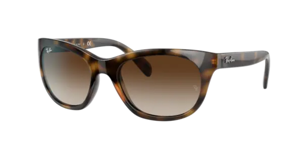 Ray-ban Sunglasses