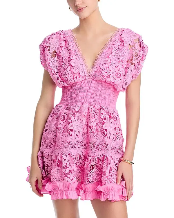 Waimari Morana Lace Embroidered Mini Dress - Rose