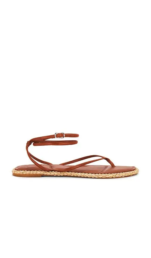 Dolce Vita Cove Sandal - Brown