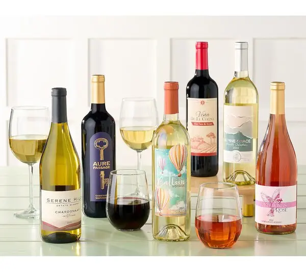 VINO VOYAGE A-d 750 Ml Bottle Wine Set Auto-delivery