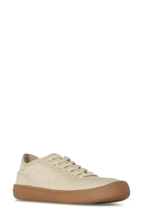THE ROW Canvas Lace-up Sneakers - Sage Tint
