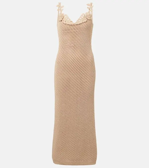 Elie Saab Floral-appliqué Mesh Gown