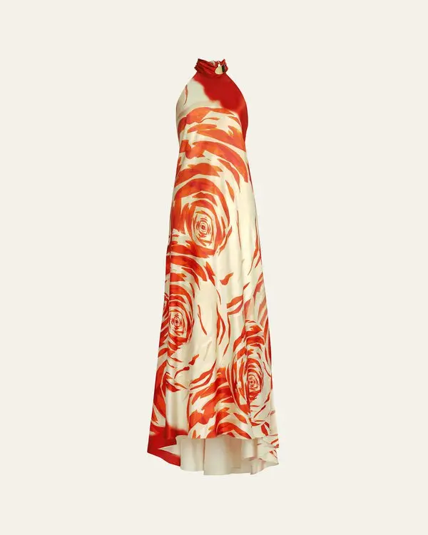 Silvia Tcherassi Sherry Abstract Halter Maxi Dress