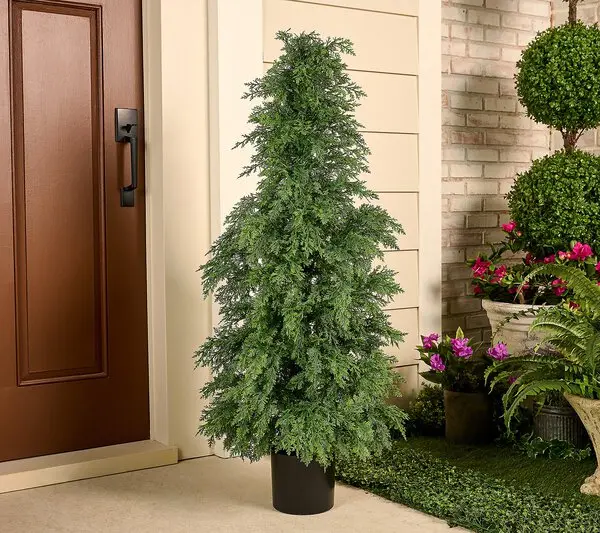LWYA BY KIM GRAVEL 4' Downswept Indoor/outdoor Faux Cedar Treeby Kim Gravel