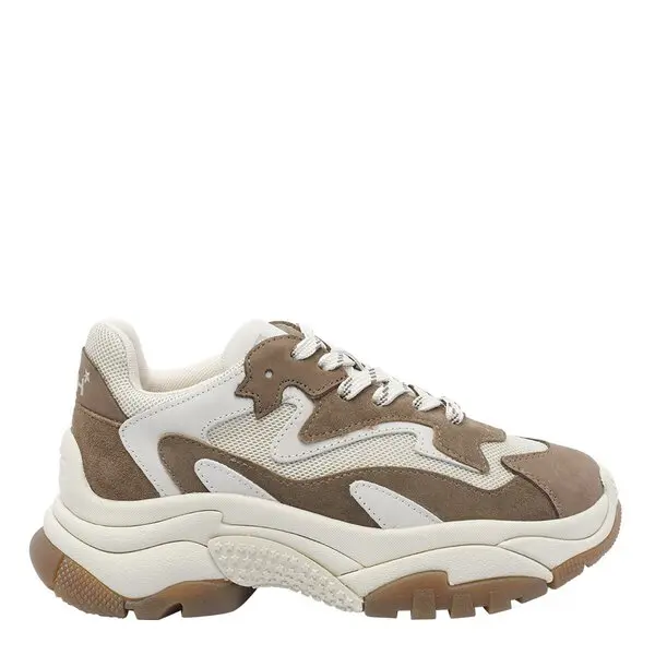 Ash Addict Sneakers - Brown