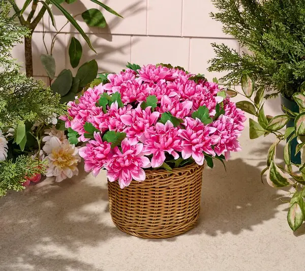 WICKER PARK As Is 12 Faux Dahlia Arrangementin Woven Pot