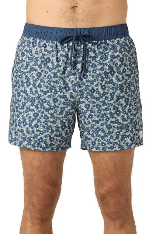 O'Neill Hermosa Volley Swim Trunks - Sage