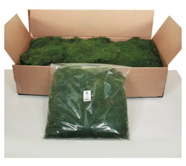 VICKERMAN Green Sheet Moss Bag