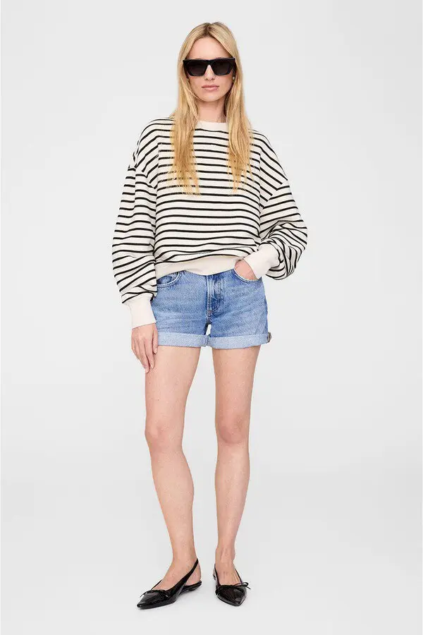 ANINE BING Dean Striped Sweatshirt - Stripe
