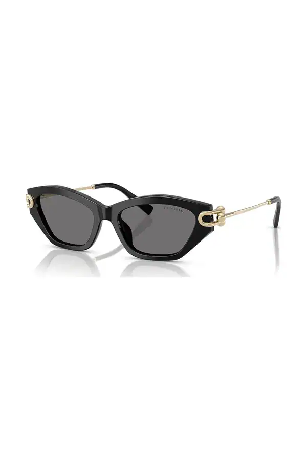 Polarised Sunglasses Cat Eye Sunglasses Sunglass Hut Chanel Cat - Main Image
