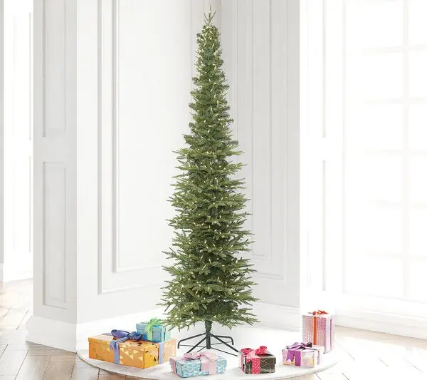 VICKERMAN 5.5' Bixley Pencil Fir Artificial Pre -lit Tree