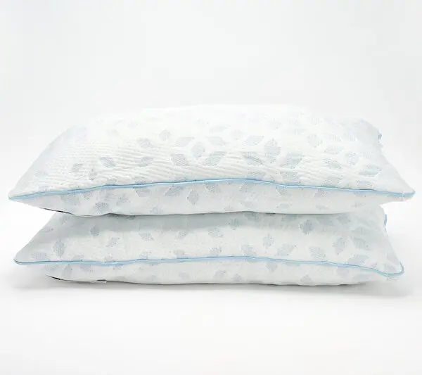 NORTHERN NIGHTS As Is S/2 Beautifully Cool Pillows-std-q