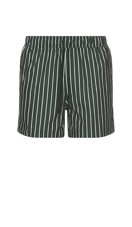 SAMSOE SAMSOE Moses Swim Shorts - Climbing Ivy Stripe