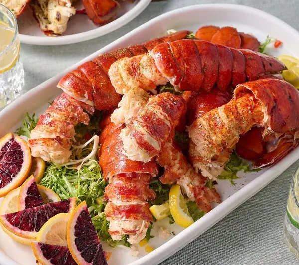 EGG HARBOR 10 Hpp Maine Lobster Tails