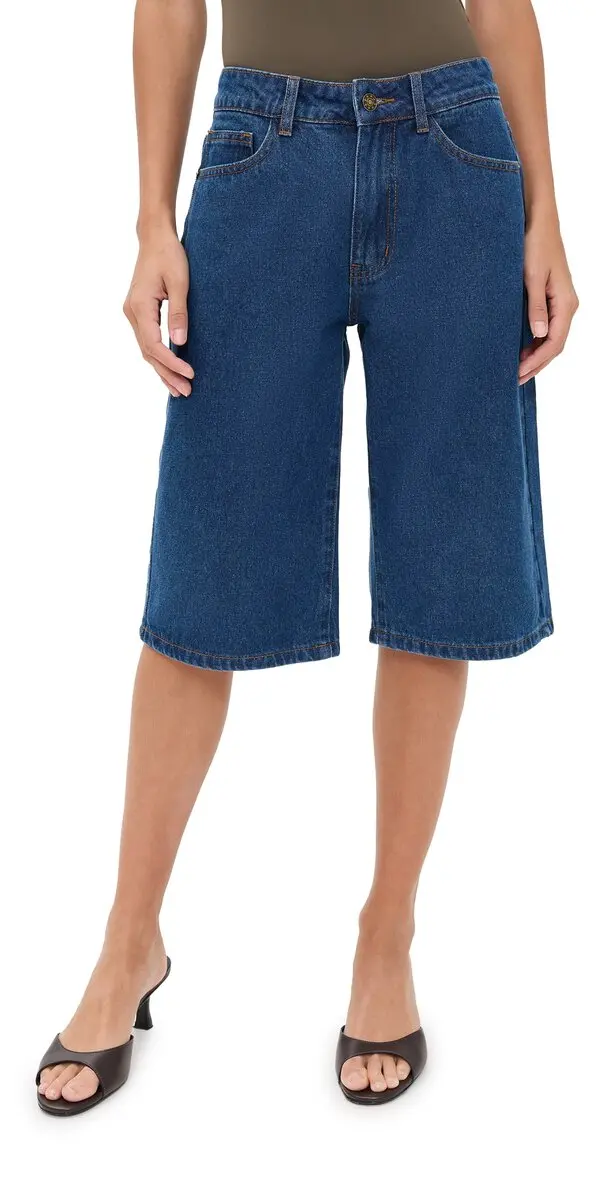 Lioness Kurt Jorts