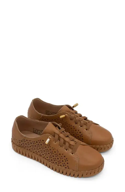 BOTTERO Bottwister Sport Sneaker - Natural