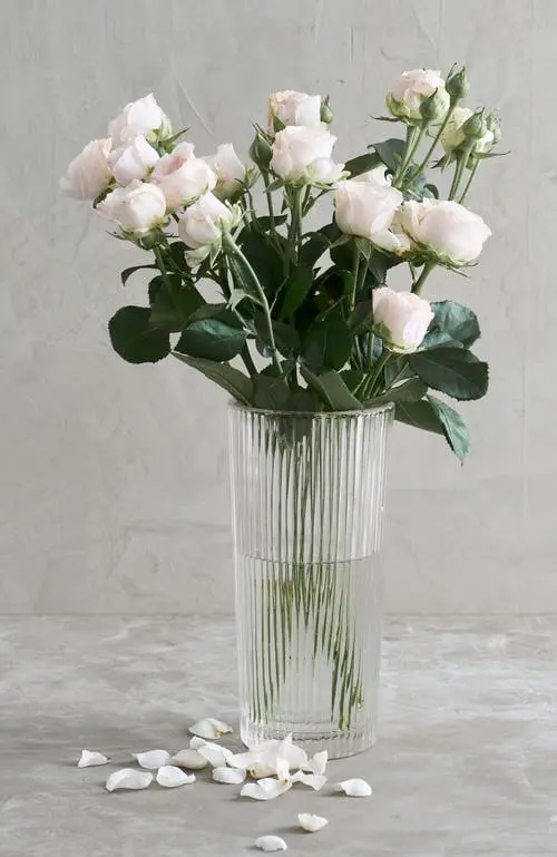 THE COLLECTIVE HOME Glass Column Vase