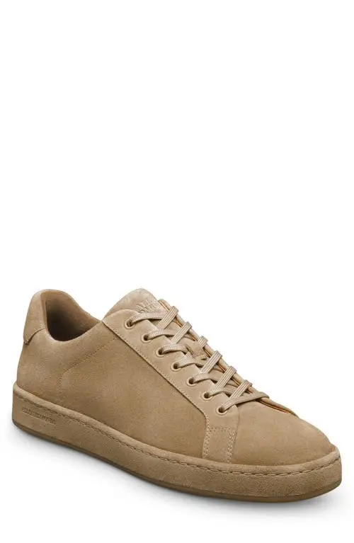 Allen Edmonds Barnes Low Top Sneaker - Bone