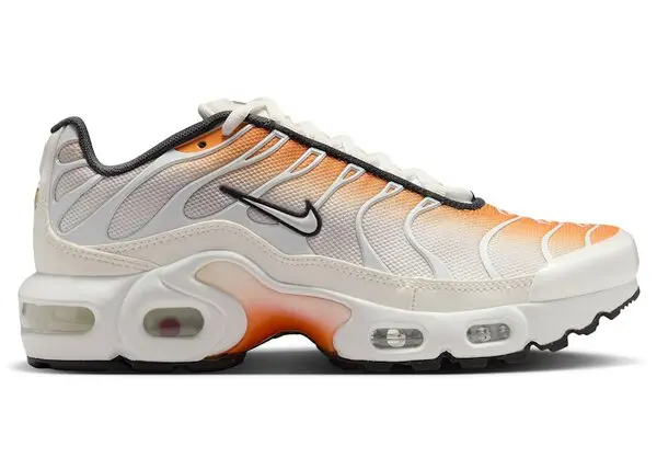 Nike Air Max Plus Sneakers