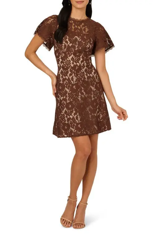 Adrianna Papell Flutter Sleeve Lace Dress - Espresso
