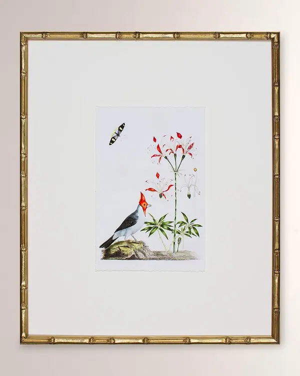 SHADOW CATCHERS Bird Habitat I" Framed Giclee