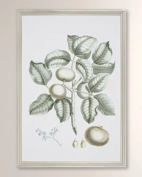 SHADOW CATCHERS Buchoz Tropical I" Framed Giclee