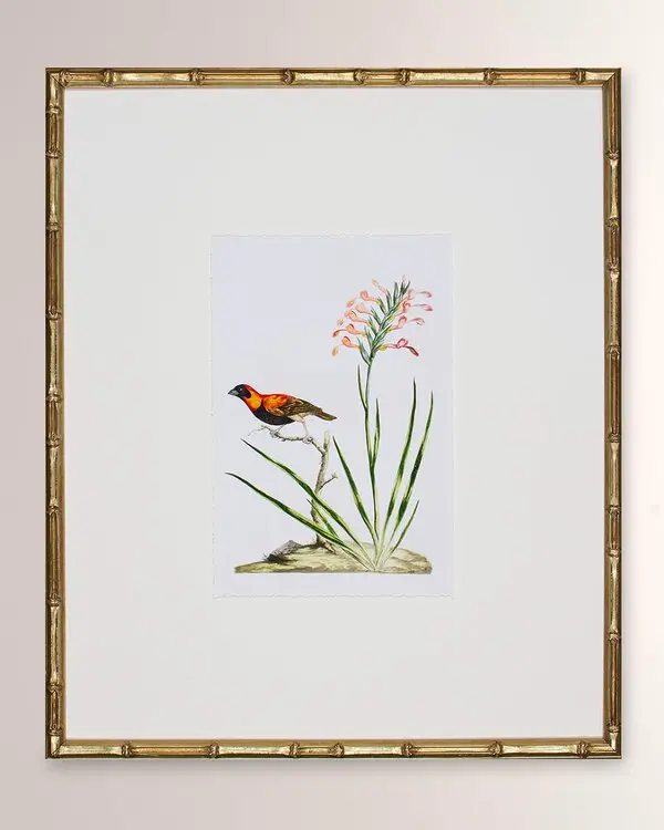 SHADOW CATCHERS Bird Habitat Iii" Framed Giclee