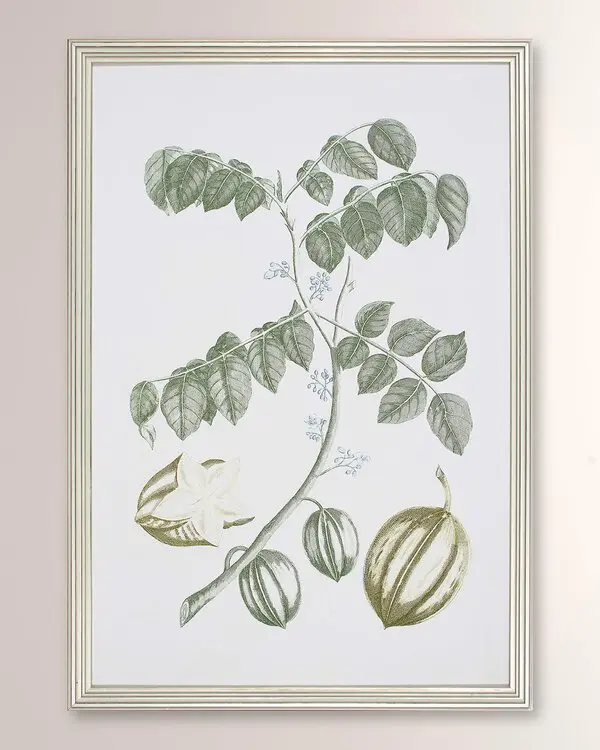 SHADOW CATCHERS Buchoz Tropical Ii" Framed Giclee