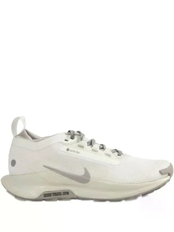 Nike Pegasus Trail Gore-tex Sneakers