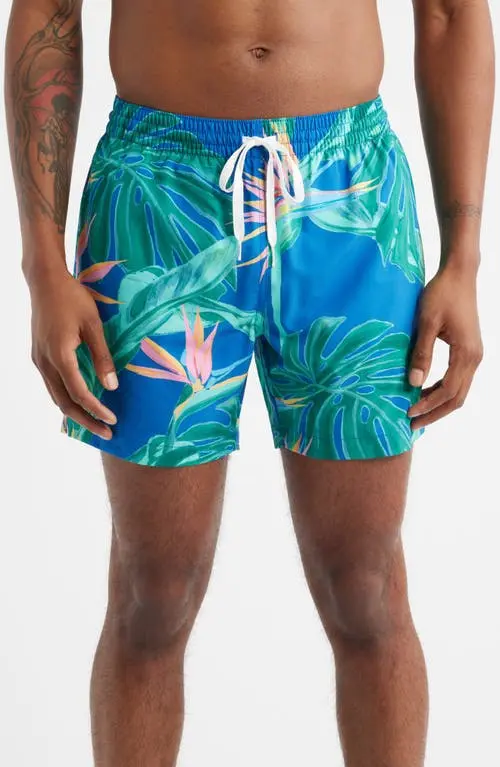 CHUBBIES 5.5-inch Swim Trunks - Medium Blue