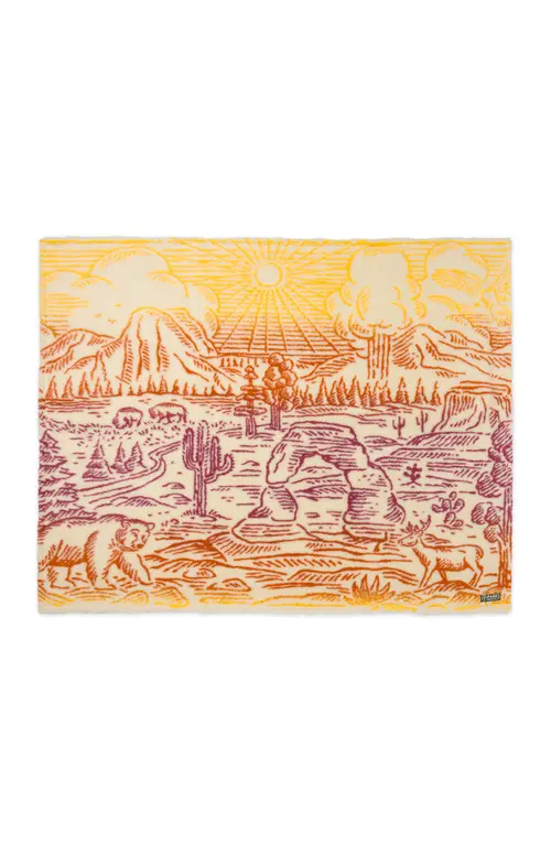 PARKS PROJECT Iconic Parks Ombre High Pile Fleece Throw Blanket