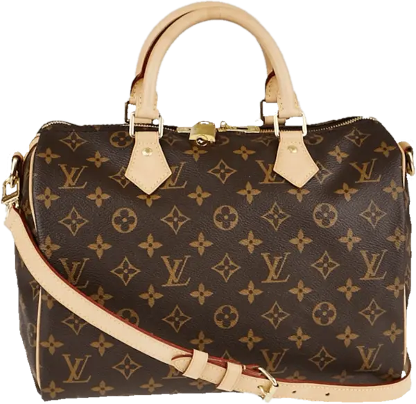 LOUIS VUITTON Speedy Bandouliere Monogram 30 - Multicolor