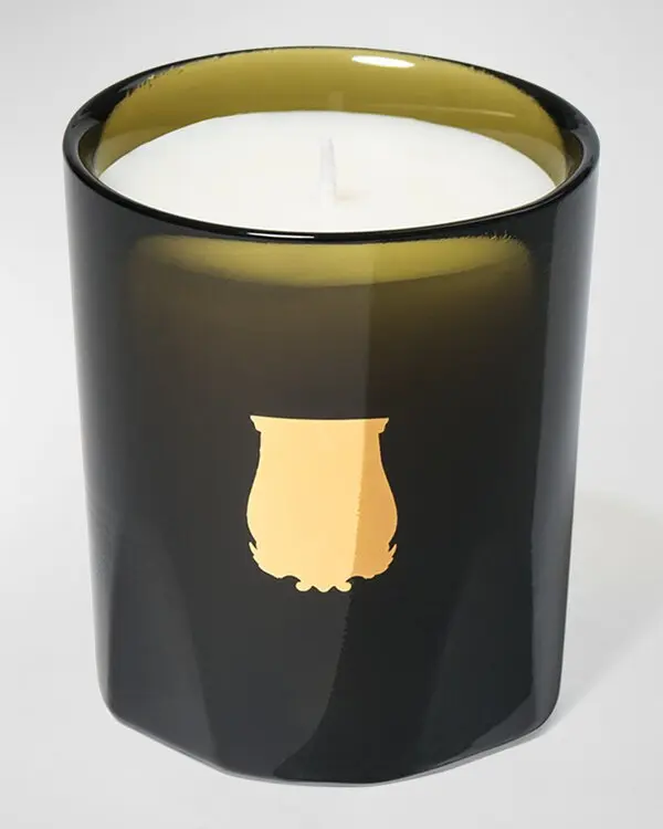 TRUDON Gabriel Petit Candle, Gourmand Chimney Fire - One-color
